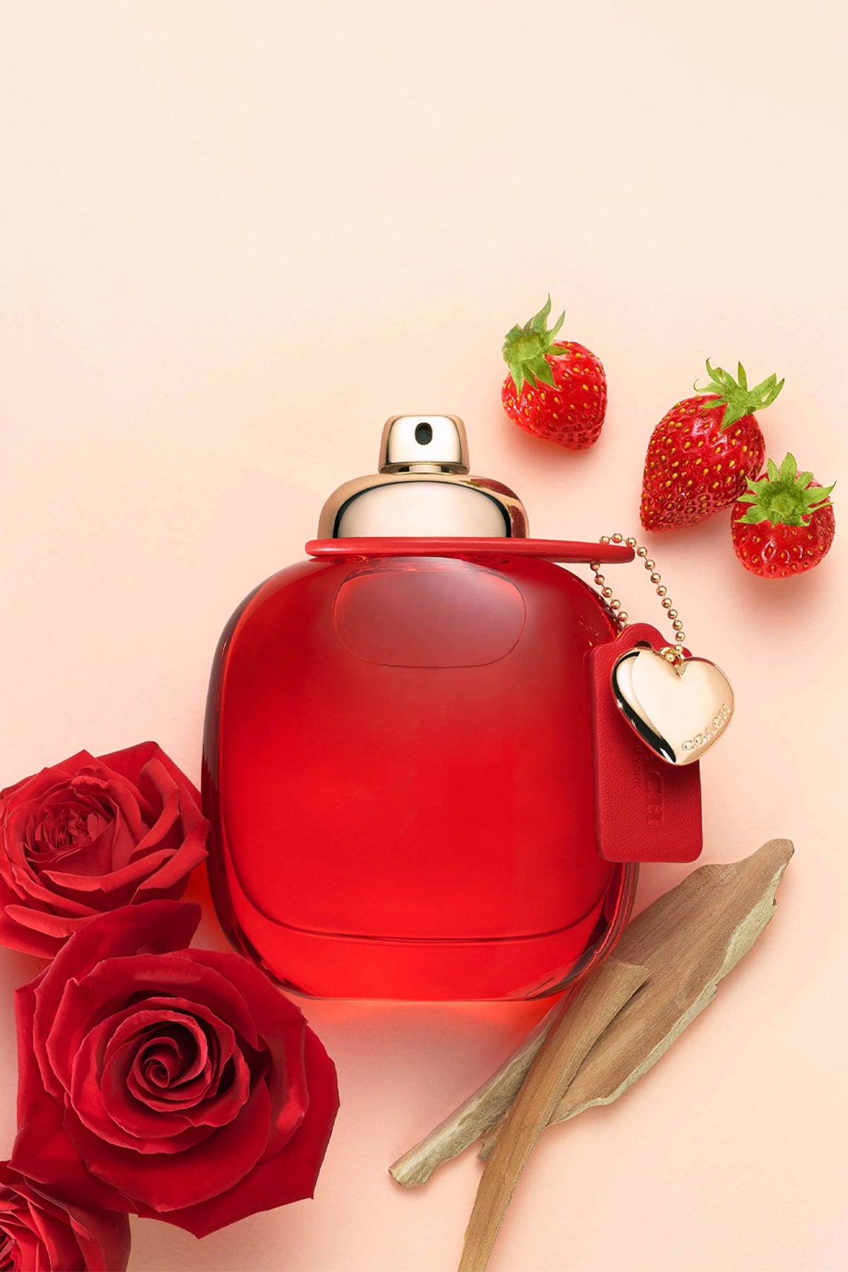 Perfume Access | Your Scent Is Your Story